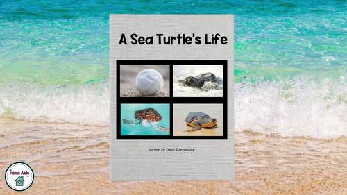 Interesting Facts About Sea Turtles | Book and Slides | TPT