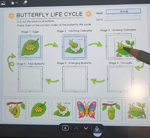 Butterfly Life Cycle Spring Science Reading Activities for Kindergarten ...