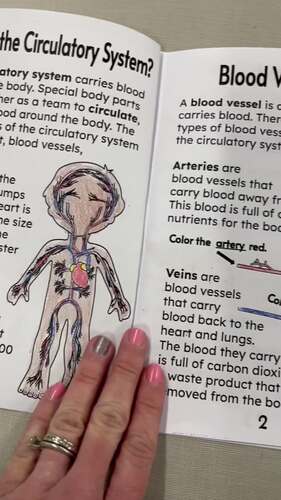Circulatory System Mini Book and Lesson Activities by MadeByMissVicky