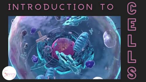 Introduction To Cells Presentation by The Savvy Brand | TPT