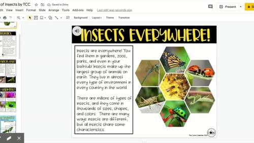 Insects Digital Activities - Spring by The Core Coaches | TPT