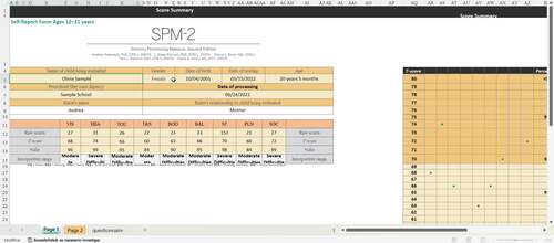 SPM-2 Self-Report Automated Excel Template for Ages 12–21 by Nefesh