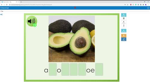 Alphabet Consonant and Short Vowel Sounds Practice BOOM CARDS for Adult ESL