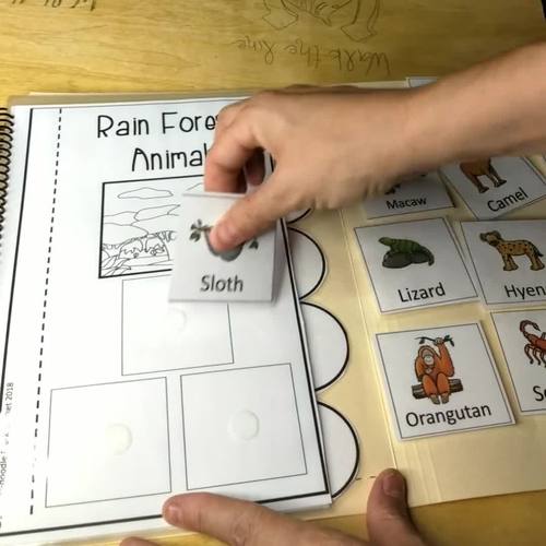 SORTING INTERACTIVE NOTEBOOKS BUNDLE by Snicker-doodles Pre-k Market