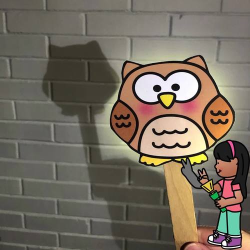 Owl Moon READ ALOUD STEM™ Activity Light and Shadows Investigation