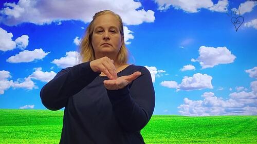 ASL Unit 1 Video 28 by Melissa Sexton | TPT