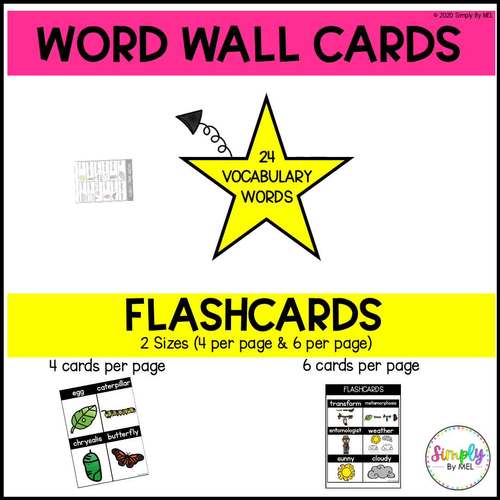 Transformation Unit l Special Education l PREK FOR ALL by Simply By MEL