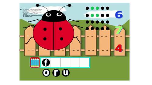 Subitizing Tally Marks with Ladybug Number Sense 1-20 Boom Cards