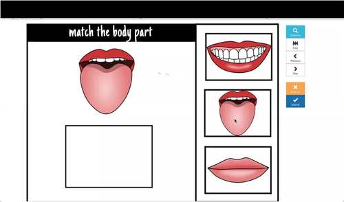 Body Parts Identification Life Skills Boom Cards™ Task Cards | TPT