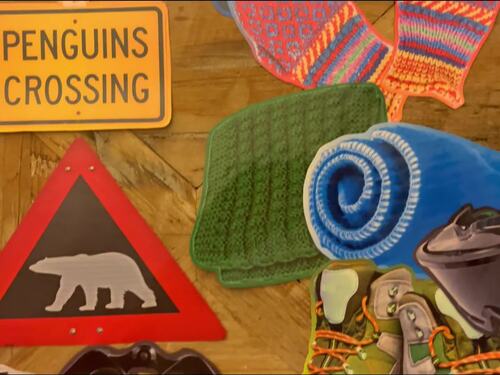 Arctic Expedition Dramatic Play Arctic Animals Cold Weather Theme