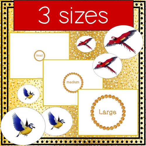 Size sorting activity with realistic birds by JK Special Education