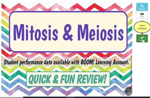 Difference Between Mitosis and Meiosis Boom Cards by Science with Cara