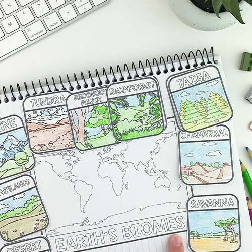 Year 9 Geography - Biomes & Sustainable Agriculture | NSW Curriculum ...