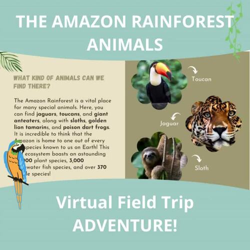 THE AMAZON RAINFOREST ANIMALS Virtual Field Trip ADVENTURE + Worksheet