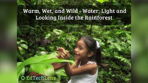 The Rainforest Habitat & Living Things Need Water & Light for Survival ...