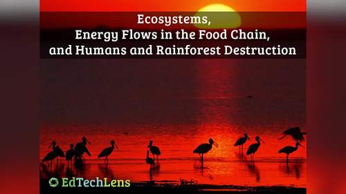 Ecosystem Energy Flows, Food Chains, Humans & Rainforest Destruction ...