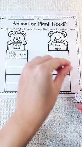 Basic Needs of Living Things Sort – Cut and Paste Sorting Activity