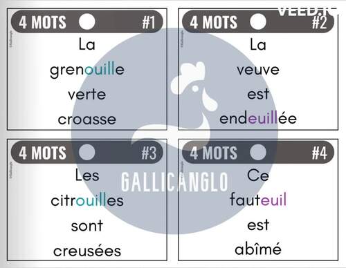 FRENCH Lecture et fluence Reading fluency practice VOL22 EUIL/EUILL ...