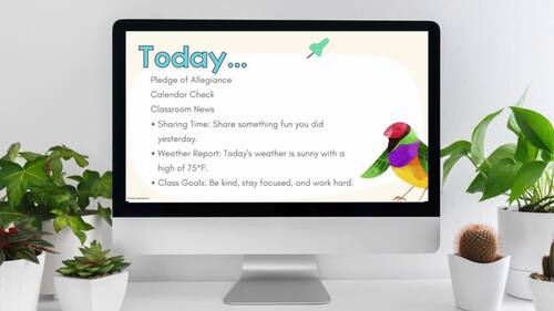 Birds of a Feather Daily Slide Template + Timers, Google Slides, PPT, Canva