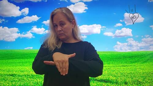 ASL Unit 7 Video 3 by Melissa Sexton | TPT