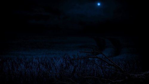 A Thief in Pollinator Paradise - eBook by GKatzChronicle | TPT