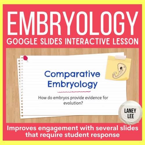 Comparative Embryology Google Slides Presentation by Laney Lee | TPT