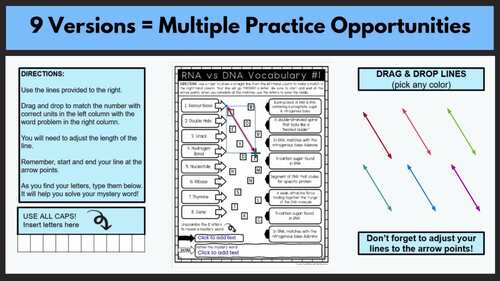 RNA & DNA Structure & Function Vocabulary-POWERPOINT-Fun Review Activity!