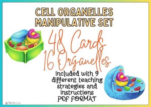 Interactive Cell Organelle Manipulatives Hands On #Bestsellers | TPT