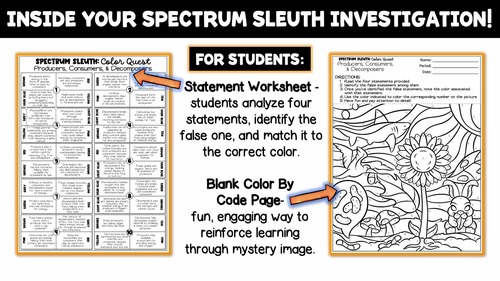 Producers, Consumers, and Decomposers Color by Code | Spectrum Sleuth ...