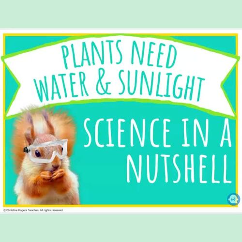 Plants Need Water Sunlight Habitat Ecosystem NGSS 2nd Grade Science in ...
