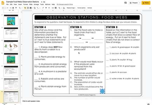 Food Webs Observation Stations | Printable and Digital for Ecosystems