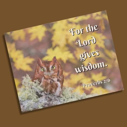 Bible Memory Verse Activities for Proverbs 2:6 by The Jillybean Jar