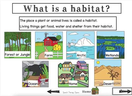 Articulation Animals Activity Speech Therapy Boom Cards™ Distance Learning