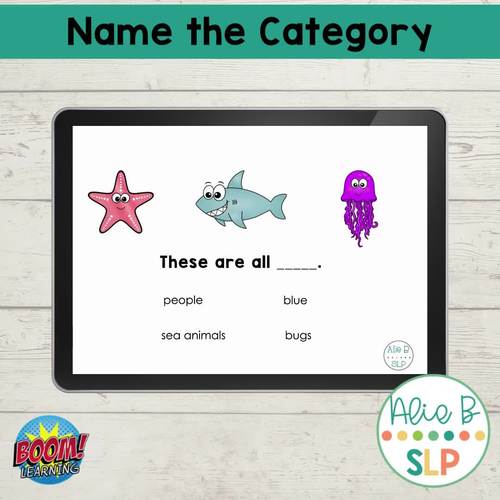 Name the Category BOOM Cards™ | Speech Therapy ELL by Alie B SLP