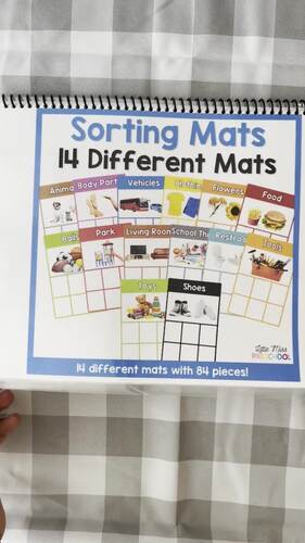Sorting Mats by Category with Real Images (Speach Therapy, Sped, Pre-K ...
