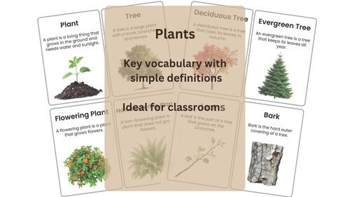 Plants Key Vocabulary Flashcards | Year 1 Science Printable by Savvy ...