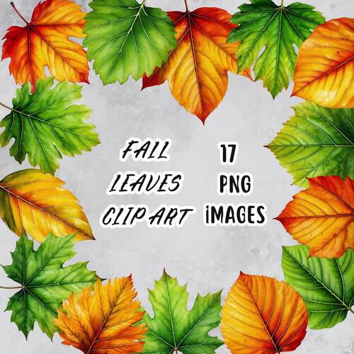 Watercolor Fall Leaves Clip Art Bundle, Autumn Leaf Illustrations