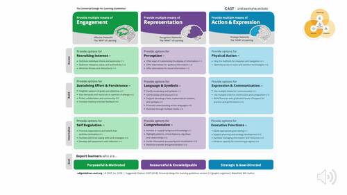 The Universal Design for Learning Framework by Matt Capp | TPT
