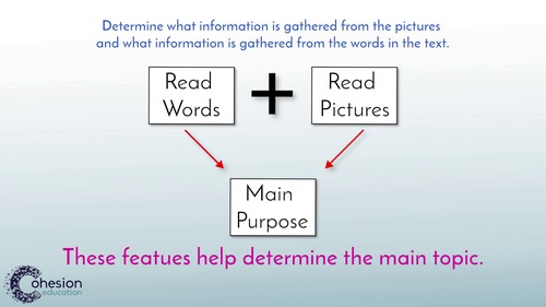 Distinguish between Pictures & Words as Sources of Information | TPT