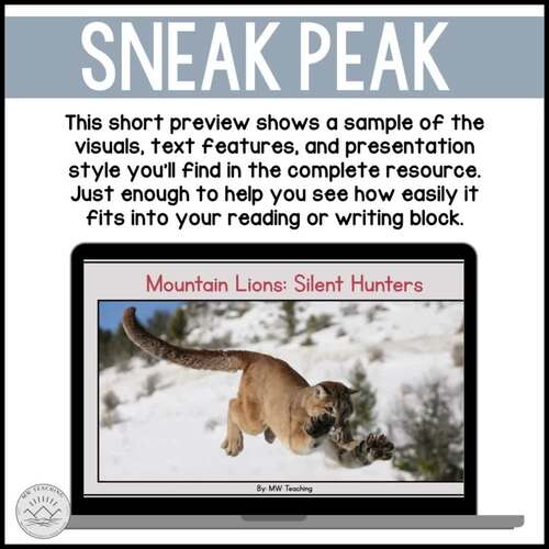 Mountain Lions Nonfiction Book by MW Teaching Resources | TPT