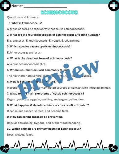 Tapeworm Echinococcus Review, PDF Study Guide | Health | FACS | TPT