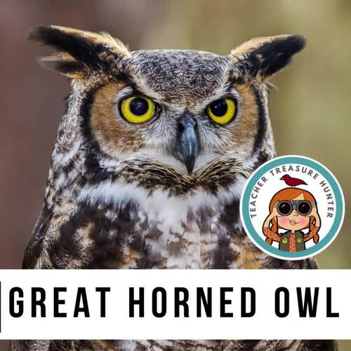 Great horned owl research page for writing bird reports animal reports ...