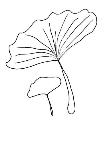 Digital Art Projects & Lessons w Procreate Drawing for Middle & High ...