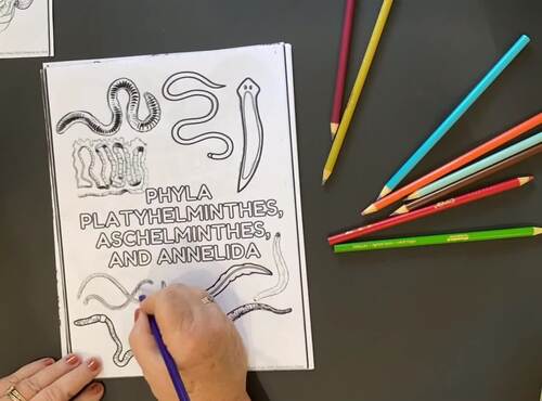 Animal Kingdom Classification COLORING PAGES-Discussion Starters