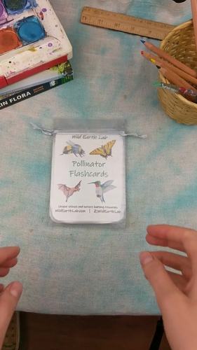 Pollinators three-part cards: Montessori inspired preschool flashcards