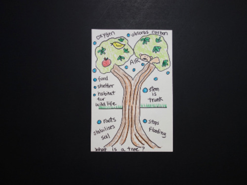 Let's Draw "What is a Tree?" by Patty Fernandez Artist | TPT