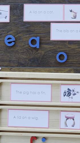 Modern Montessori Reading SOR CVC picture to sentence match by ...