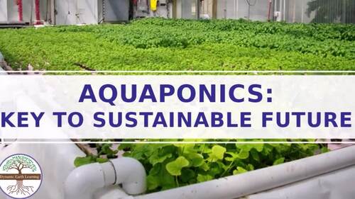 Aquaponics: Key to a Sustainable Future? Science Worksheet (Google ...