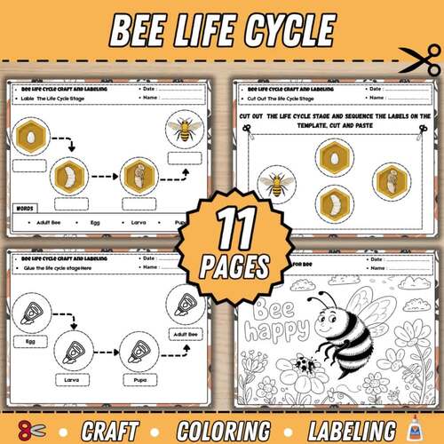 Bee Life Cycle Craft and Labeling | Cut & Paste Science | Spring & Insects