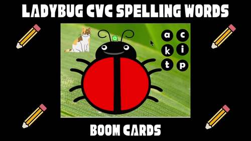 Ladybug CVC Spelling Words Boom Cards by Teacher's Pride | TPT